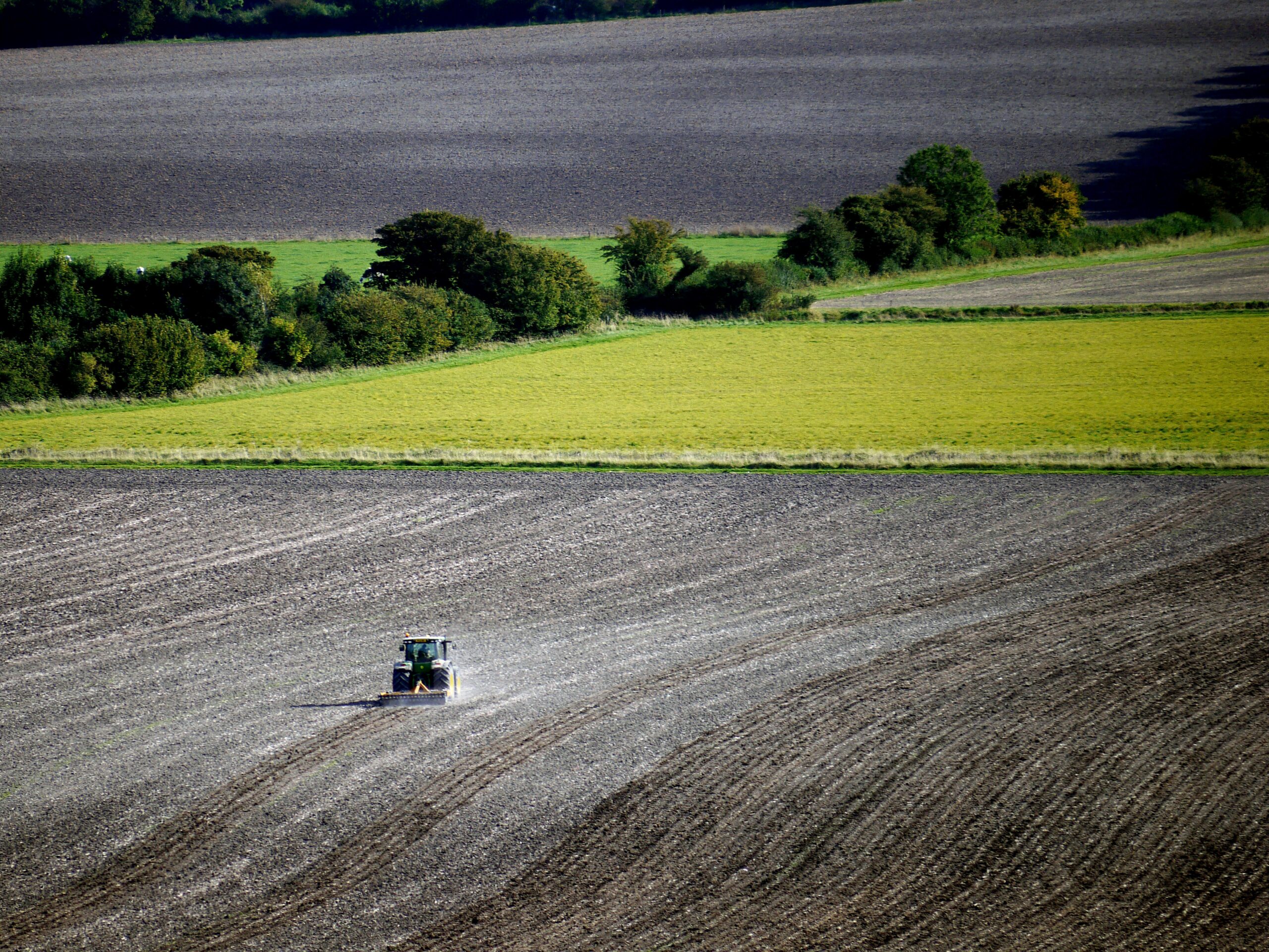 Preparing Your Sales Team for a Successful Fall Selling Season - Deb ...